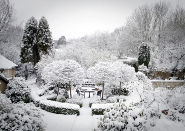 Top 7 Winter Landscaping Maintenance Tips - J & L Landscapes